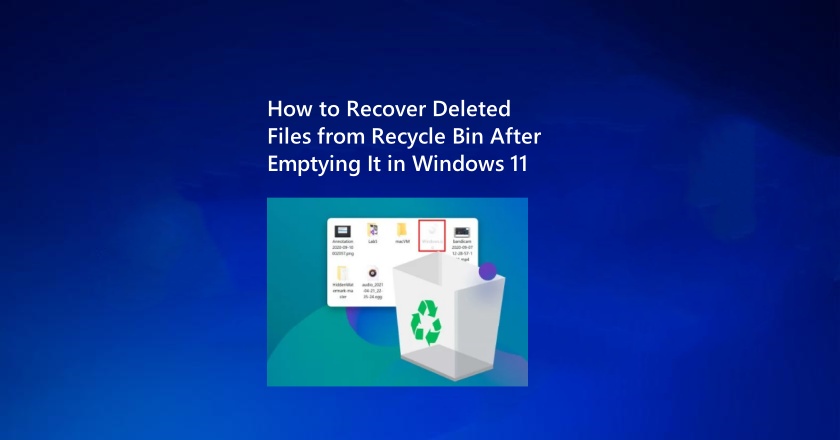 How to Recover Deleted Files from Recycle Bin After Emptying It in Windows 11