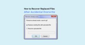 How to Recover Replaced Files After Accidental Overwrite