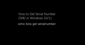 How to Get Serial Number CMD in Windows 10/11