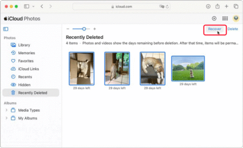 How to Find Recently Deleted Photos on Windows and Mac